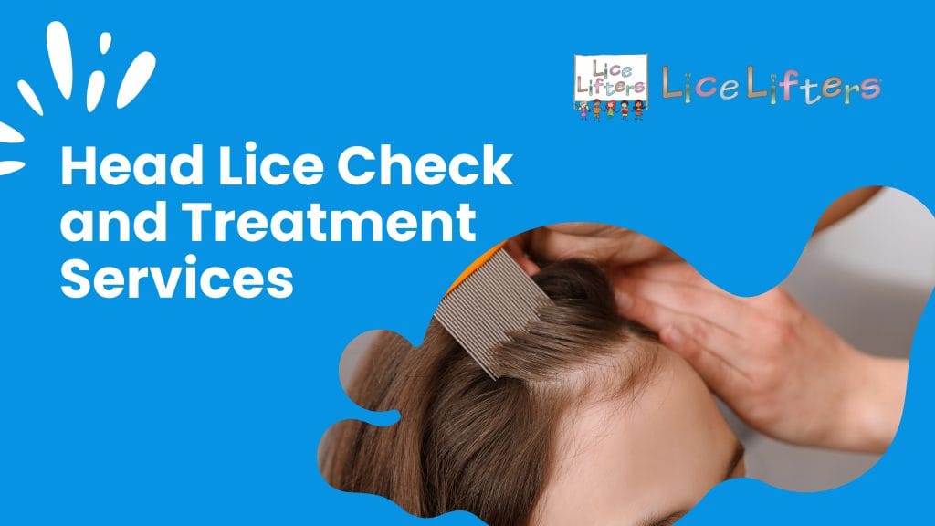 Head Lice Treatment & Removal In Broward County, FL